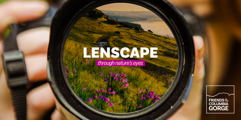 Friends of the Columbia Gorge - Ensuring the Gorge remains a vibrant ...