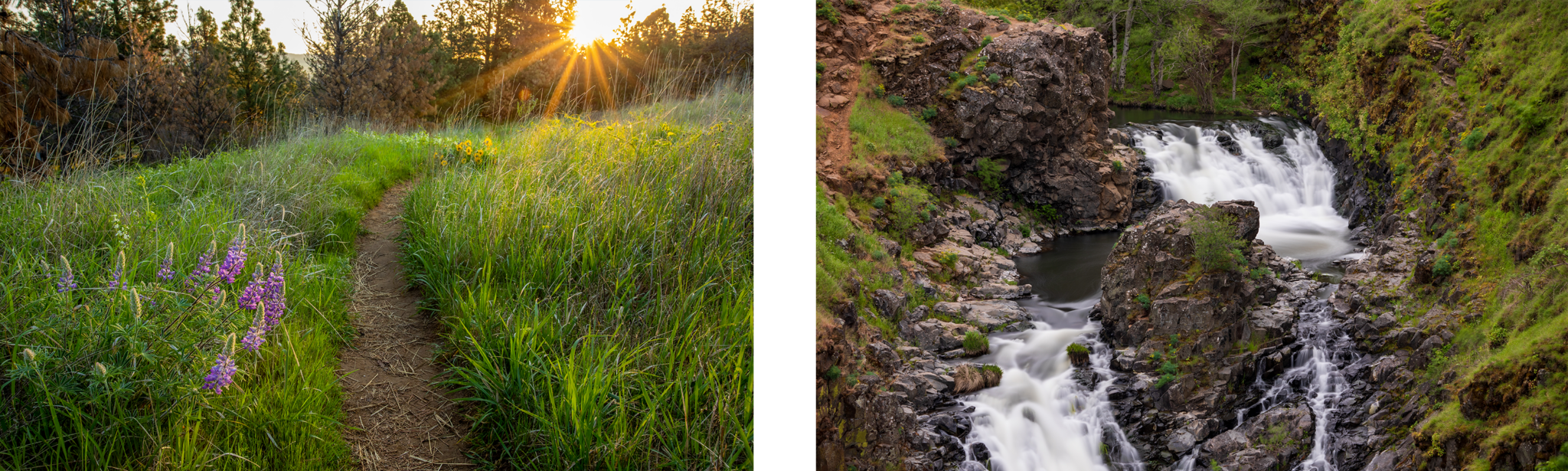 Small Trail, Big Legacy: Povey Family Donates Easement at Mosier ...